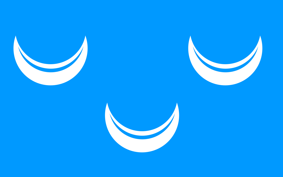 Nederlandse en Wassenaarse vlag in raadzaal - Wassenaarders.nl