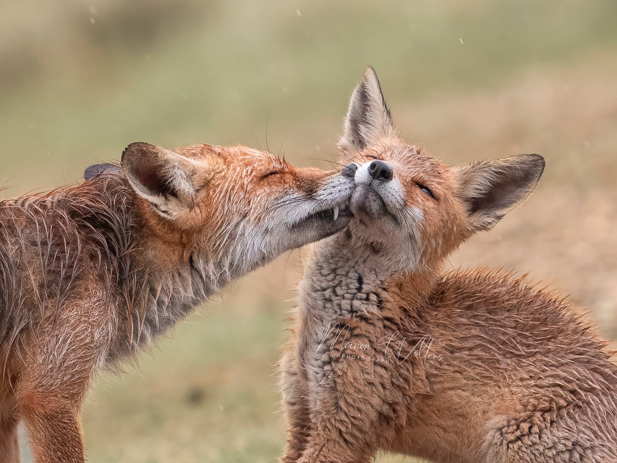 Galerie des Animaux: een tentoonstelling over dieren! - Wassenaarders.nl
