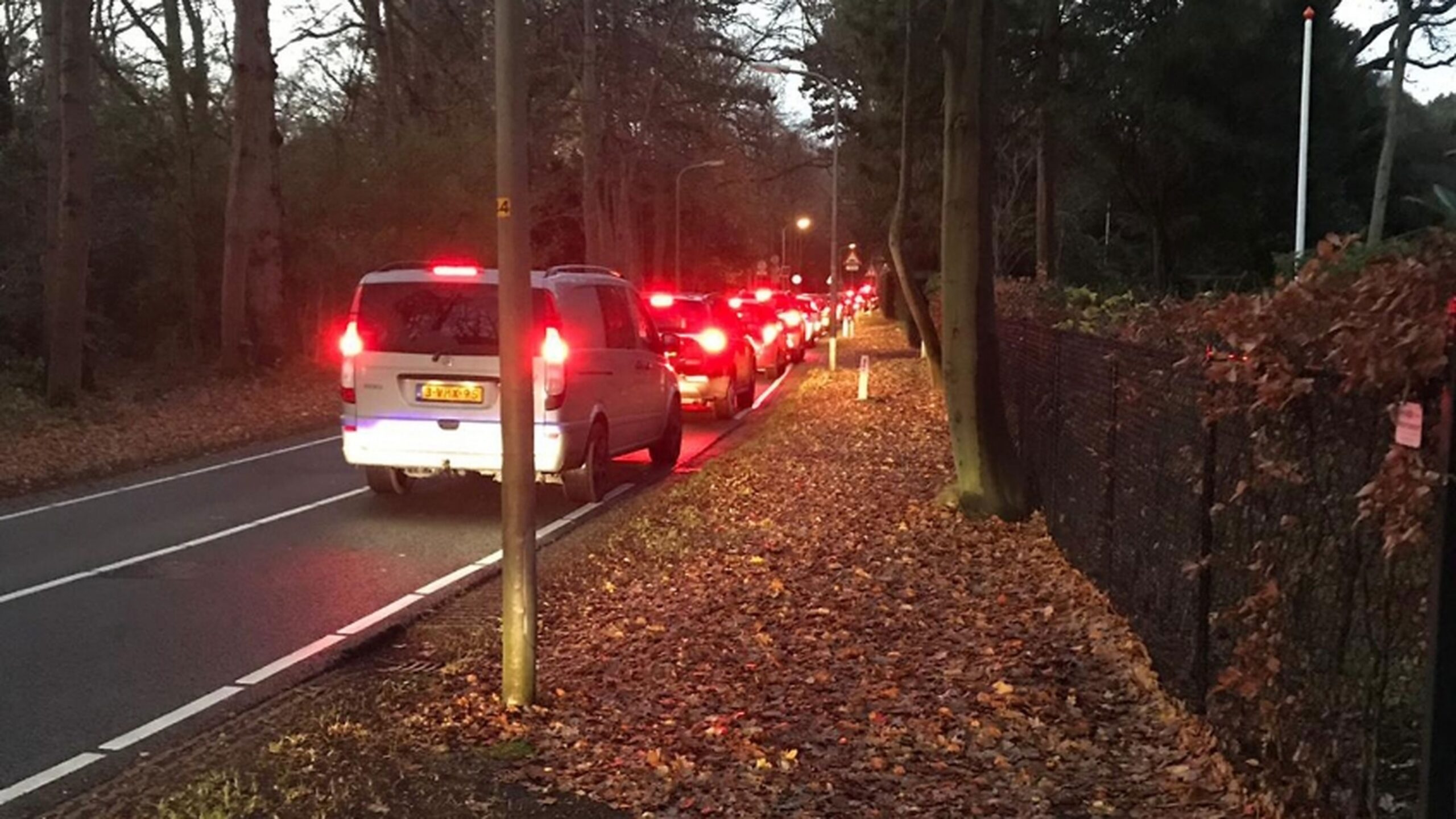 Demonstratie op Jagerslaan - Wassenaarders.nl