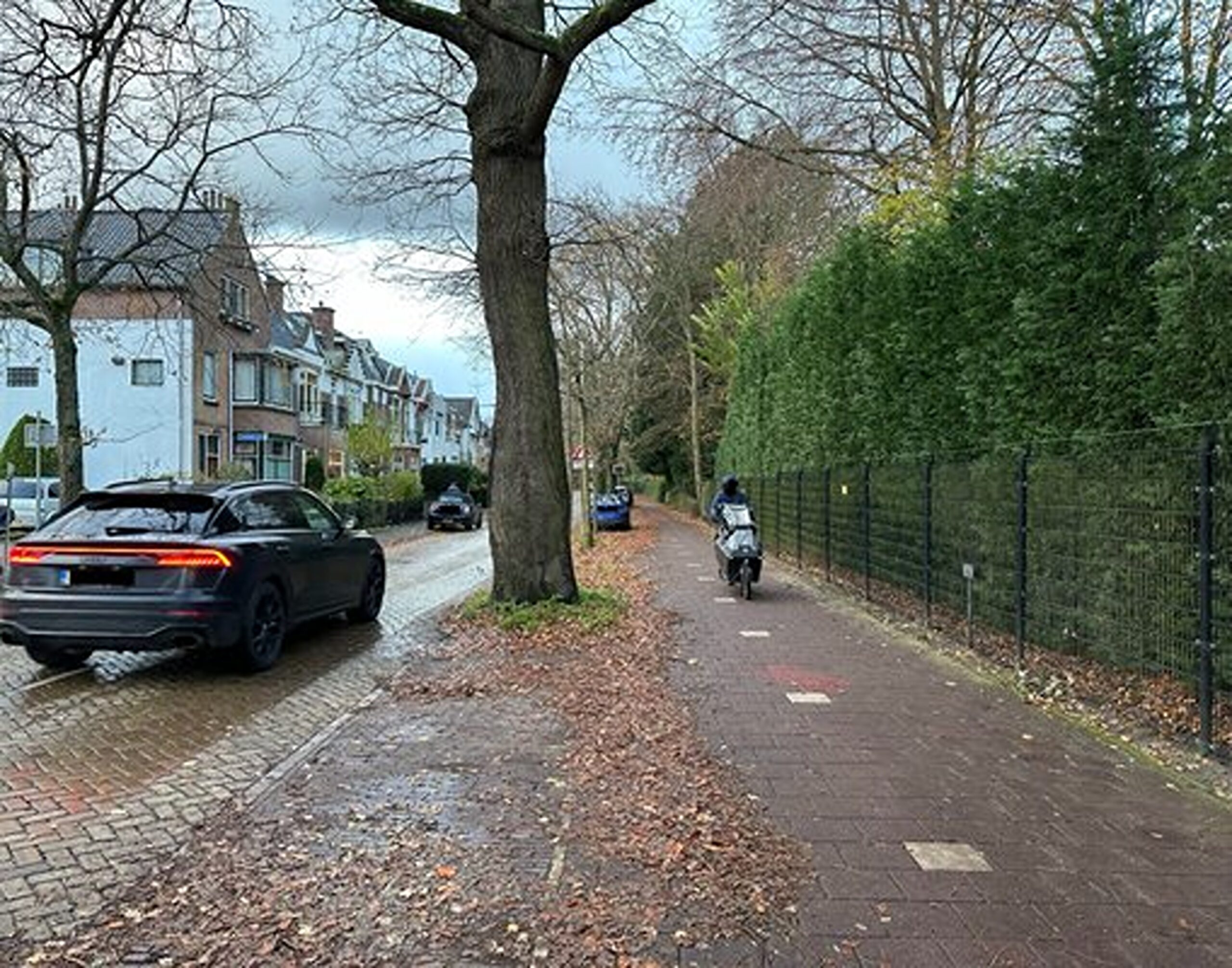 Petitie gestart voor behoud vrijliggend fietspad Schouwweg-Noord - Wassenaarders.nl